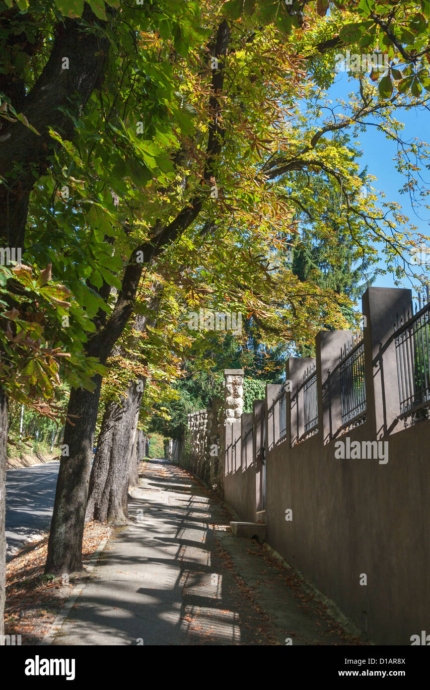 Shady street hi-res stock photography and images - Alamy
