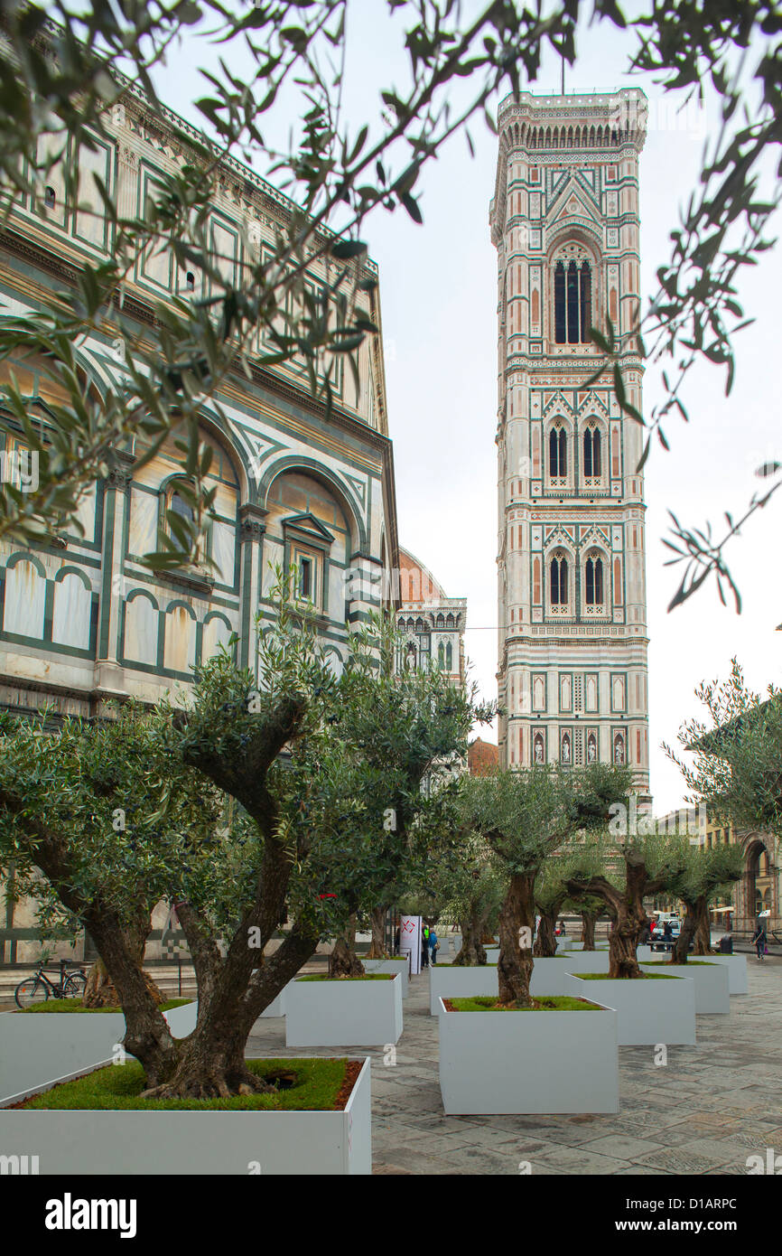 Italy,Tuscany,Florence,Cathedral and tree installation Stock Photo - Alamy