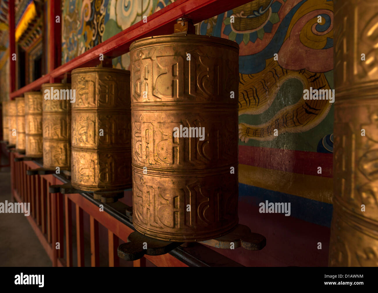 Zhamei hi-res stock photography and images - Alamy