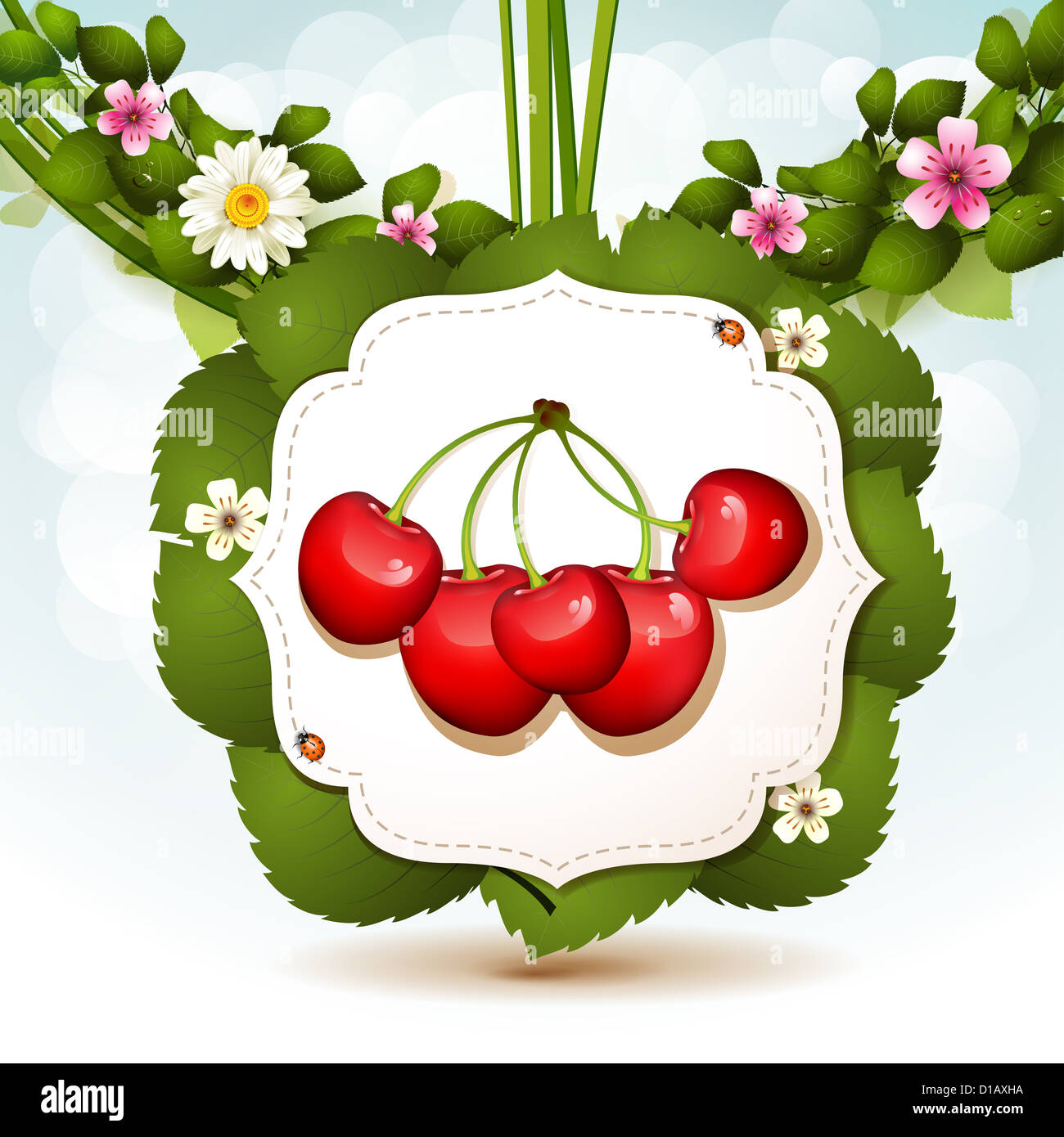 Ripe cherry over frame with leaves and flowers Stock Photo - Alamy