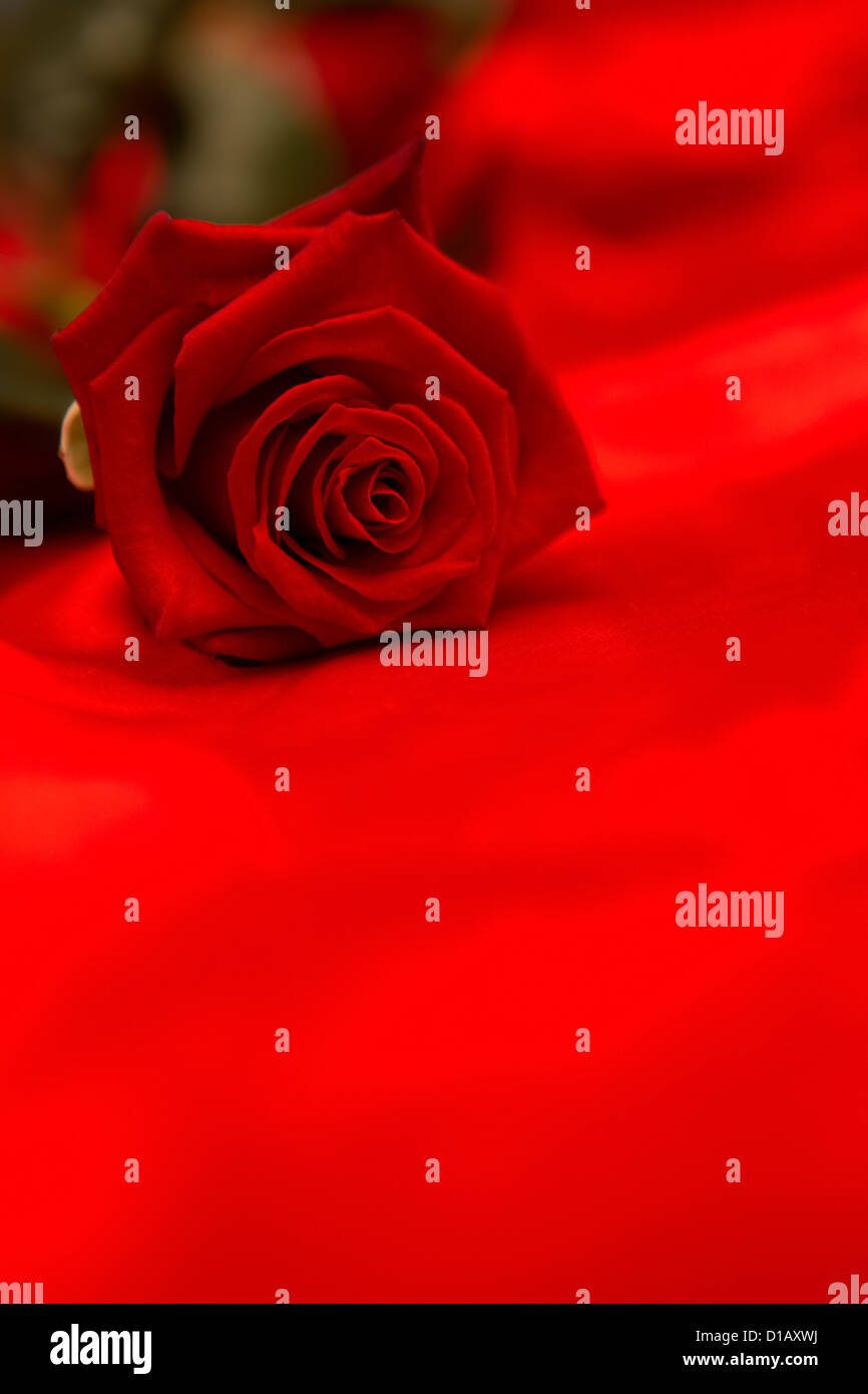 Red silk leaves hi-res stock photography and images - Alamy