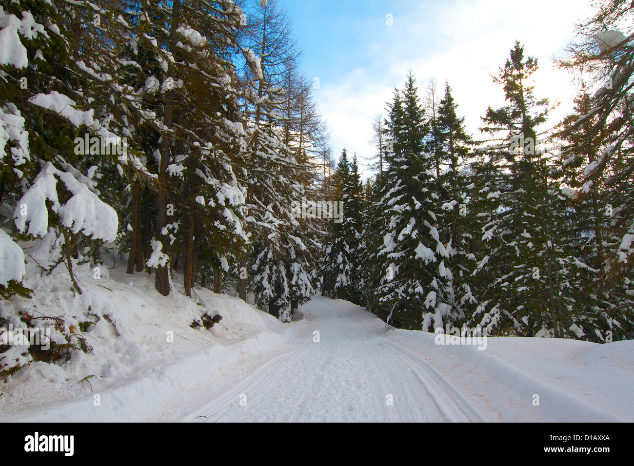 a panoramic view of Champoluc,Aosta Valley ,Italy Stock Photo - Alamy