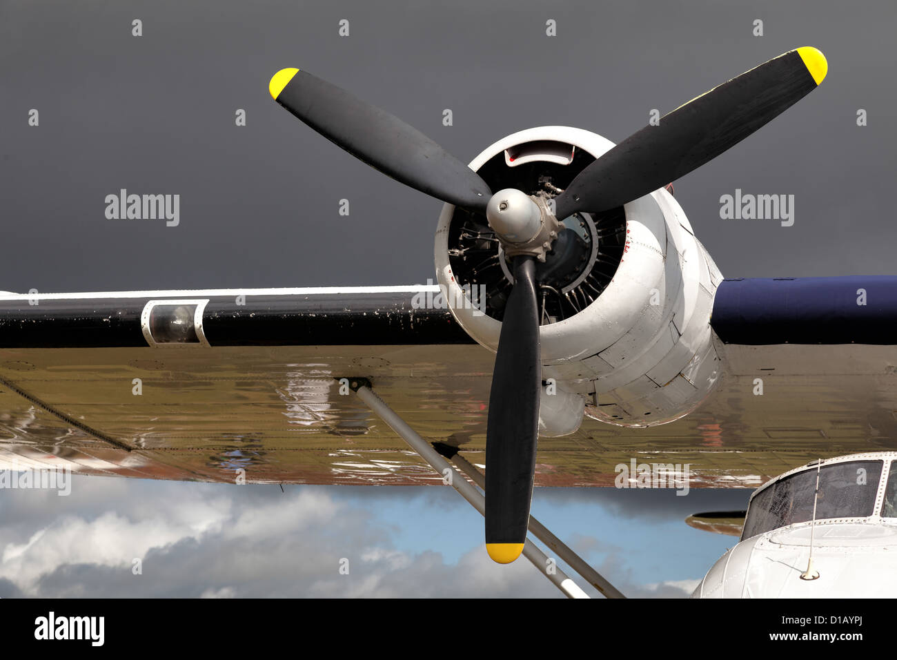 White catalina seaplane hi-res stock photography and images - Alamy