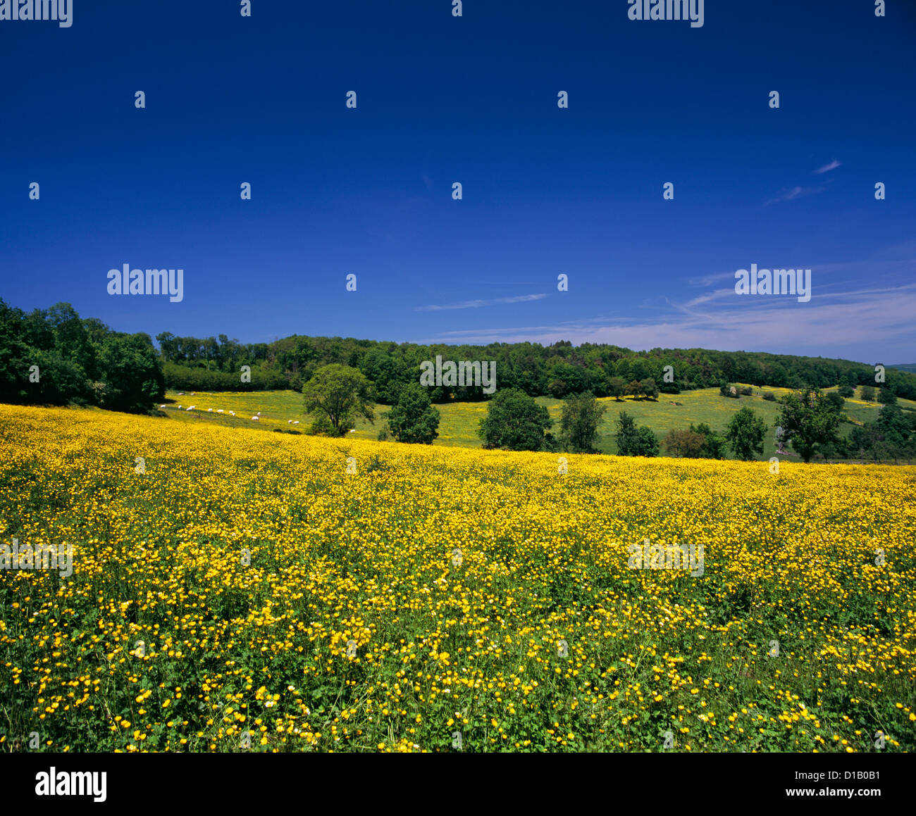 Grignon hi-res stock photography and images - Alamy