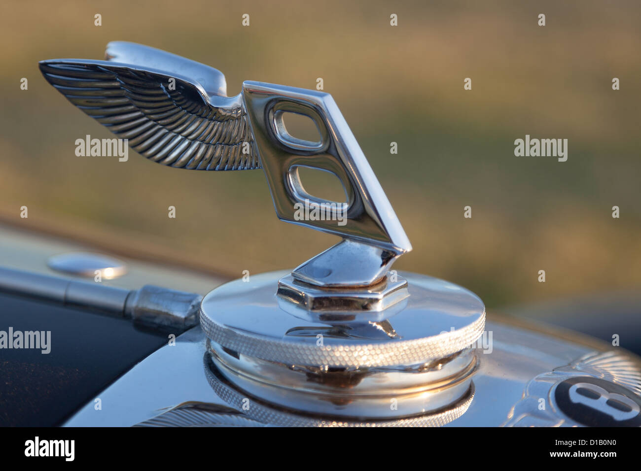 Modern badge hi-res stock photography and images - Alamy