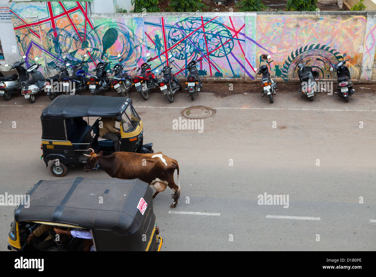 Cow india road hi-res stock photography and images - Alamy