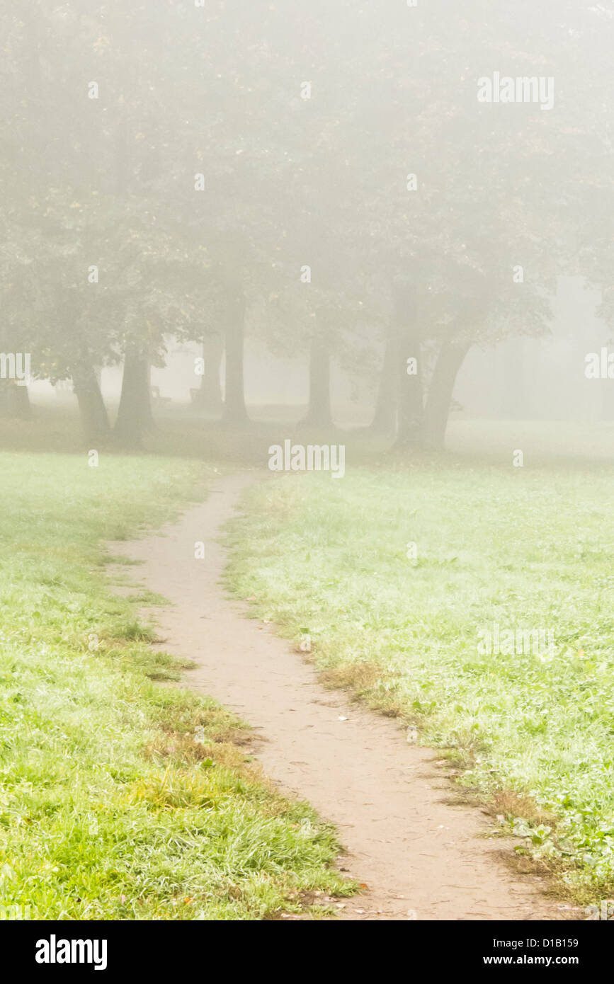 Foggy day park in hi-res stock photography and images - Alamy