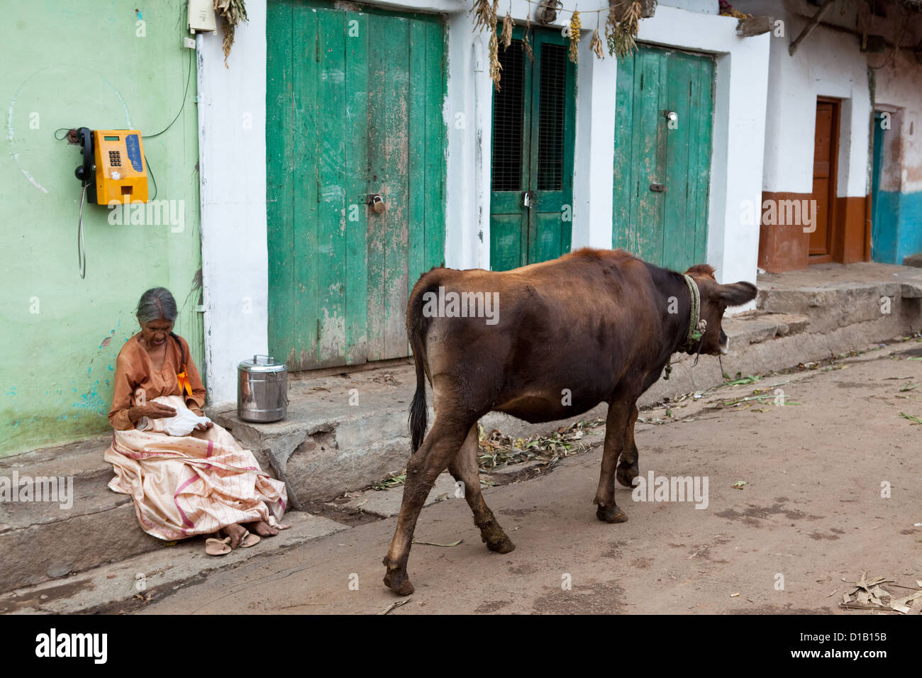 Indian cow in house hi-res stock photography and images - Alamy