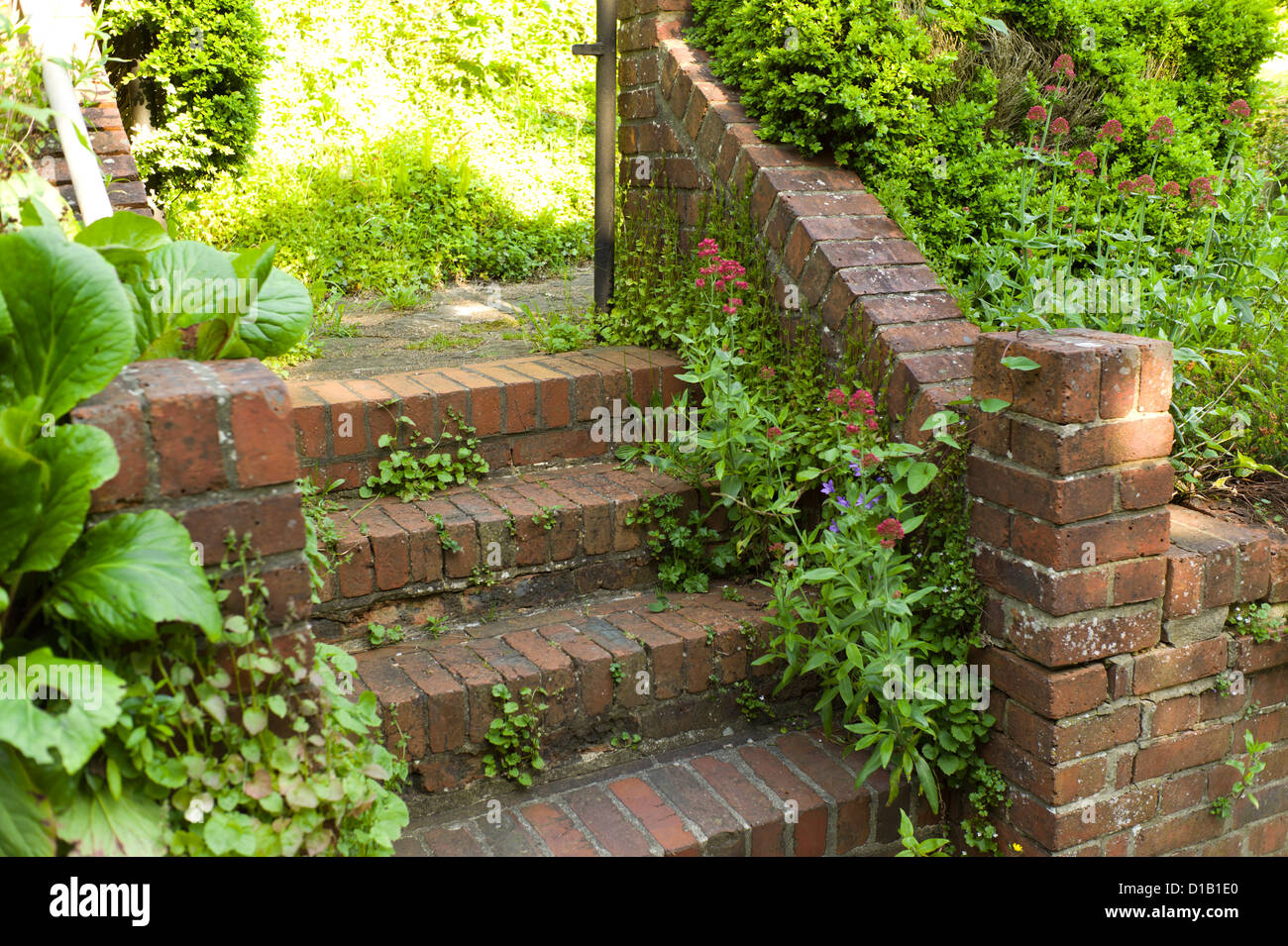 Overgrown brick steps Stock Photo - Alamy