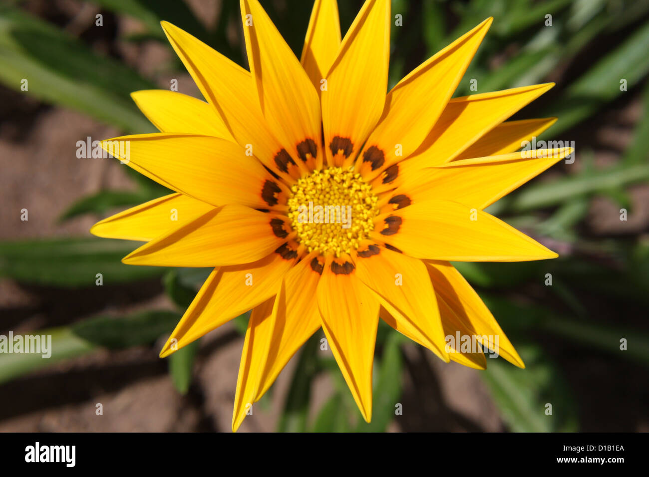 Color symmetry hi-res stock photography and images - Alamy