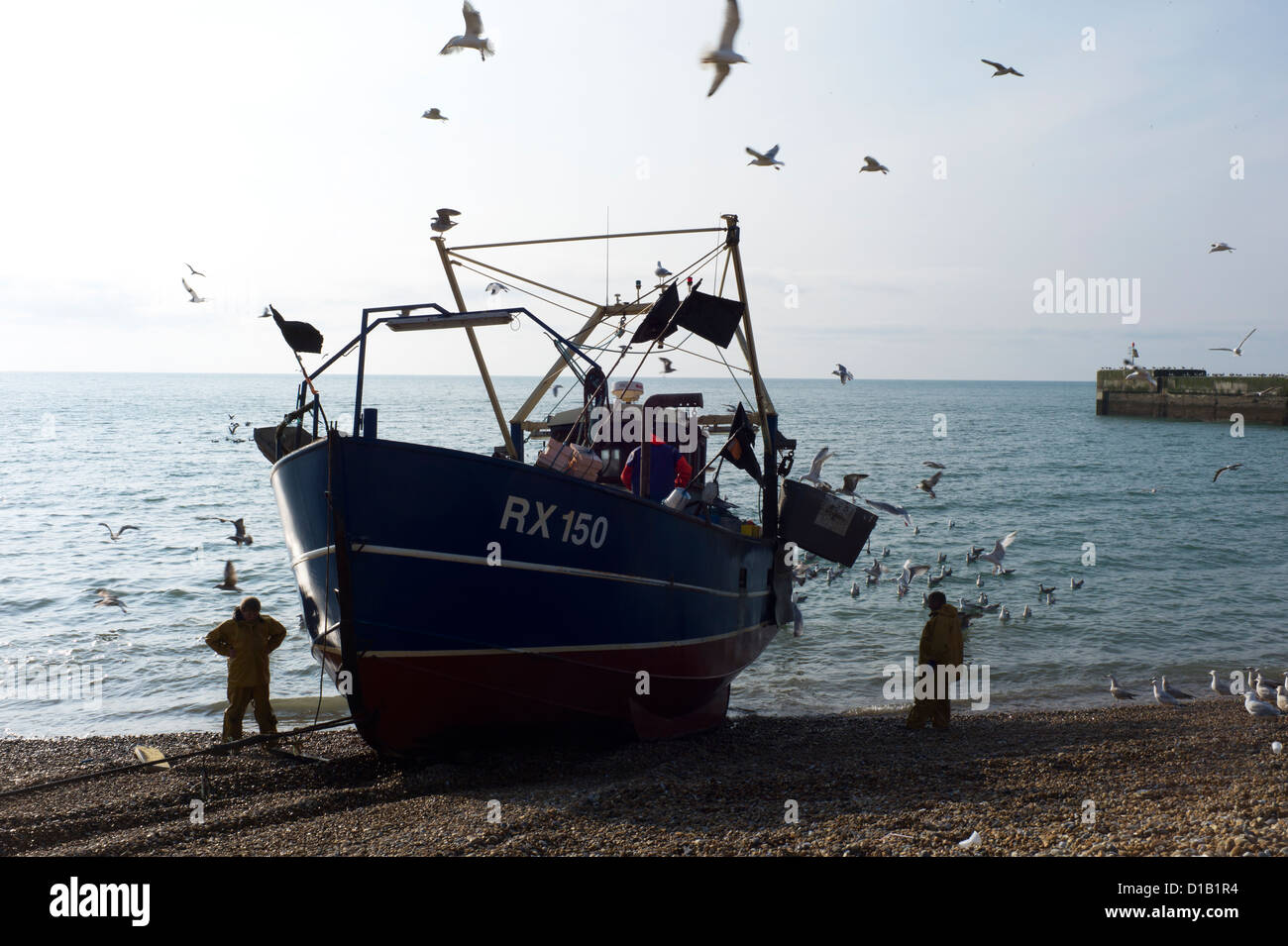 Fishing boat unloading catch,Hastings Stock Photo - Alamy