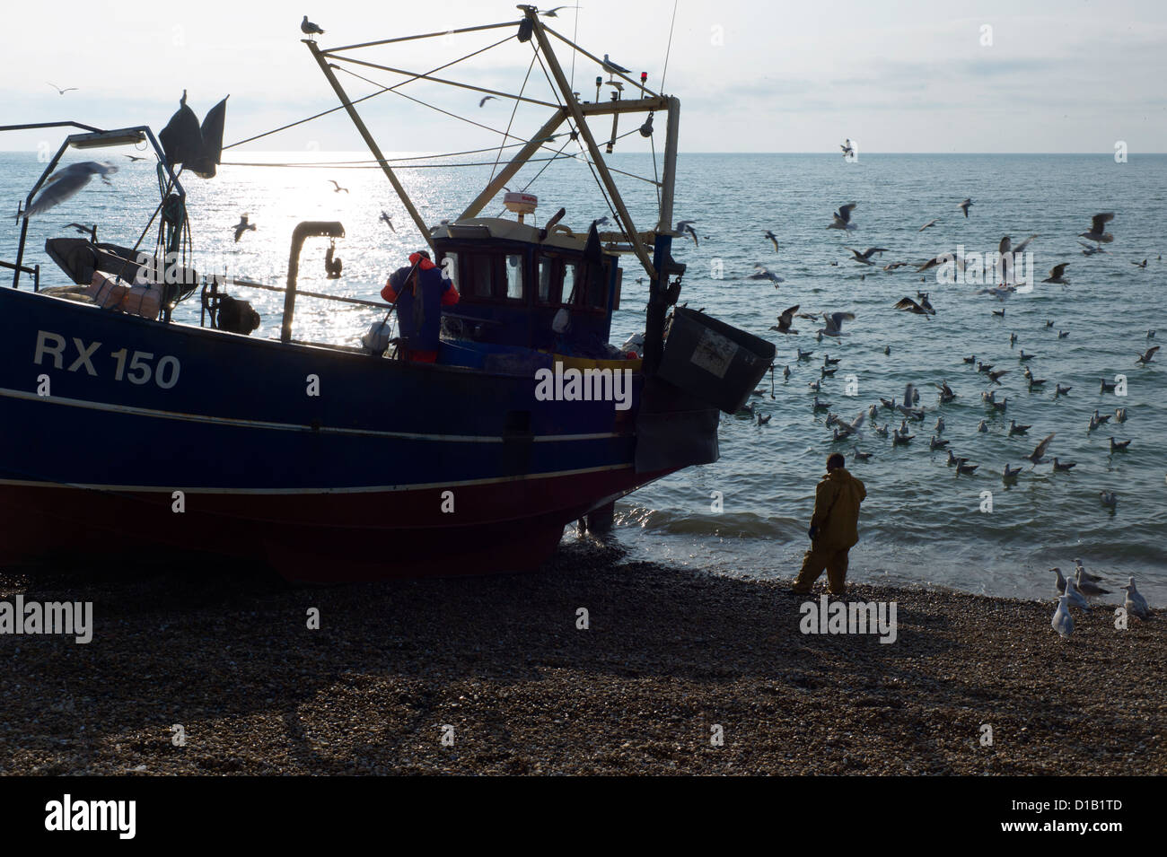 Fishing boat unloading catch,Hastings Stock Photo - Alamy
