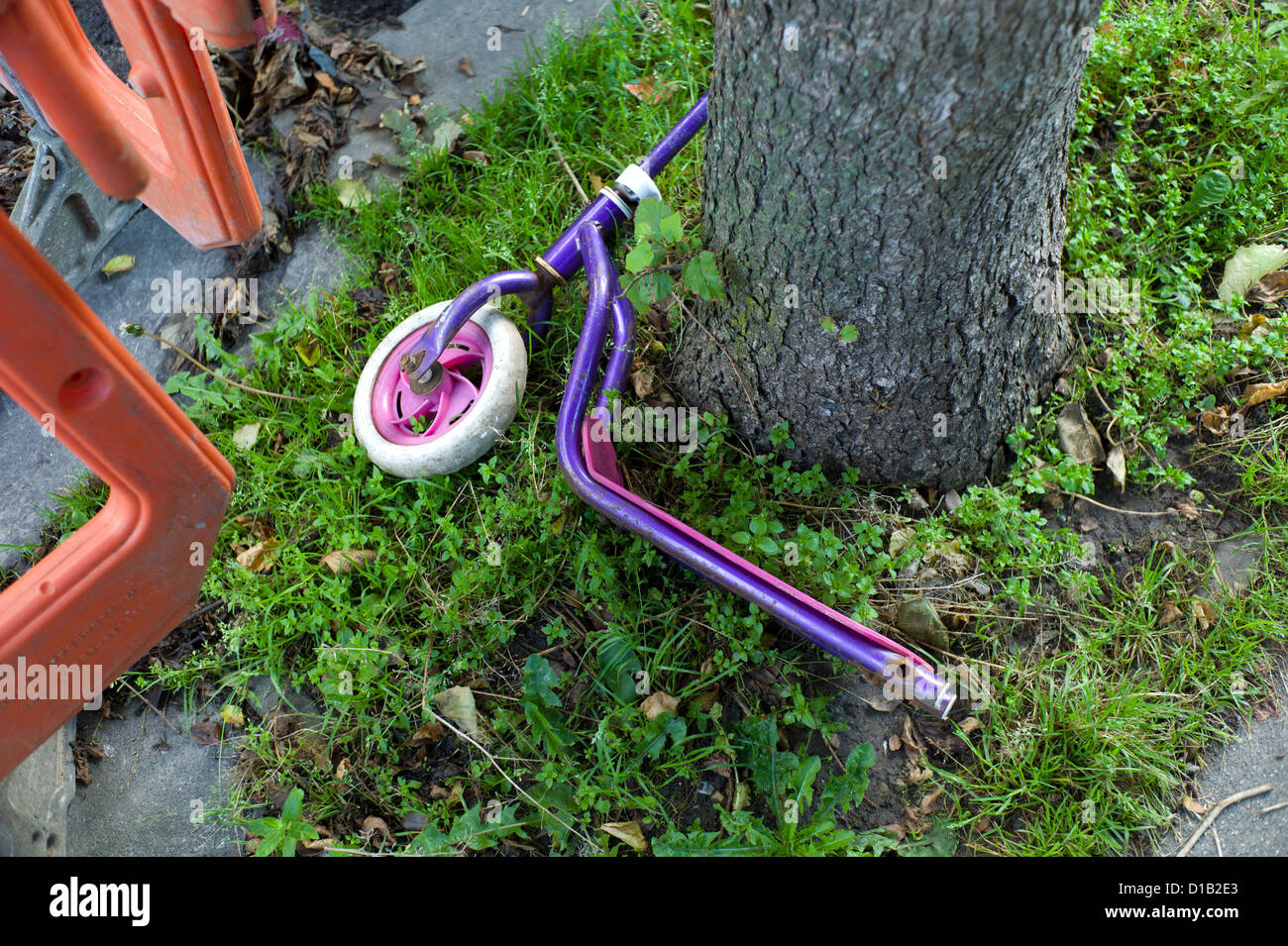 Abandoned broken purple child's scooter under tree Stock Photo - Alamy