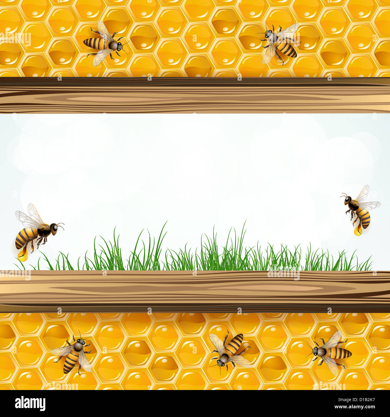 Landscape frame with bees and honeycombs Stock Photo - Alamy