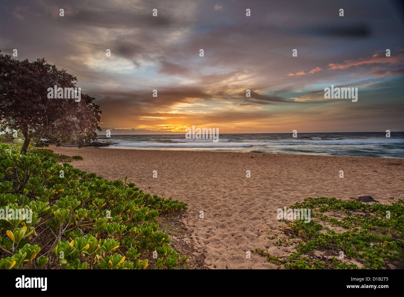 Beach sand landscape scenic hi-res stock photography and images - Alamy