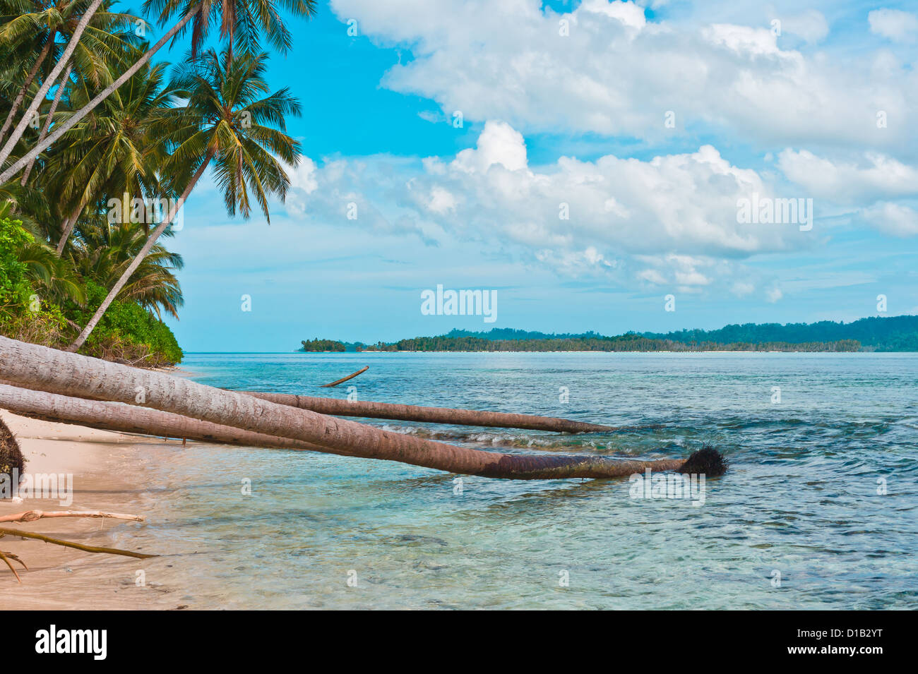 Coast of remote tropical island Stock Photo - Alamy