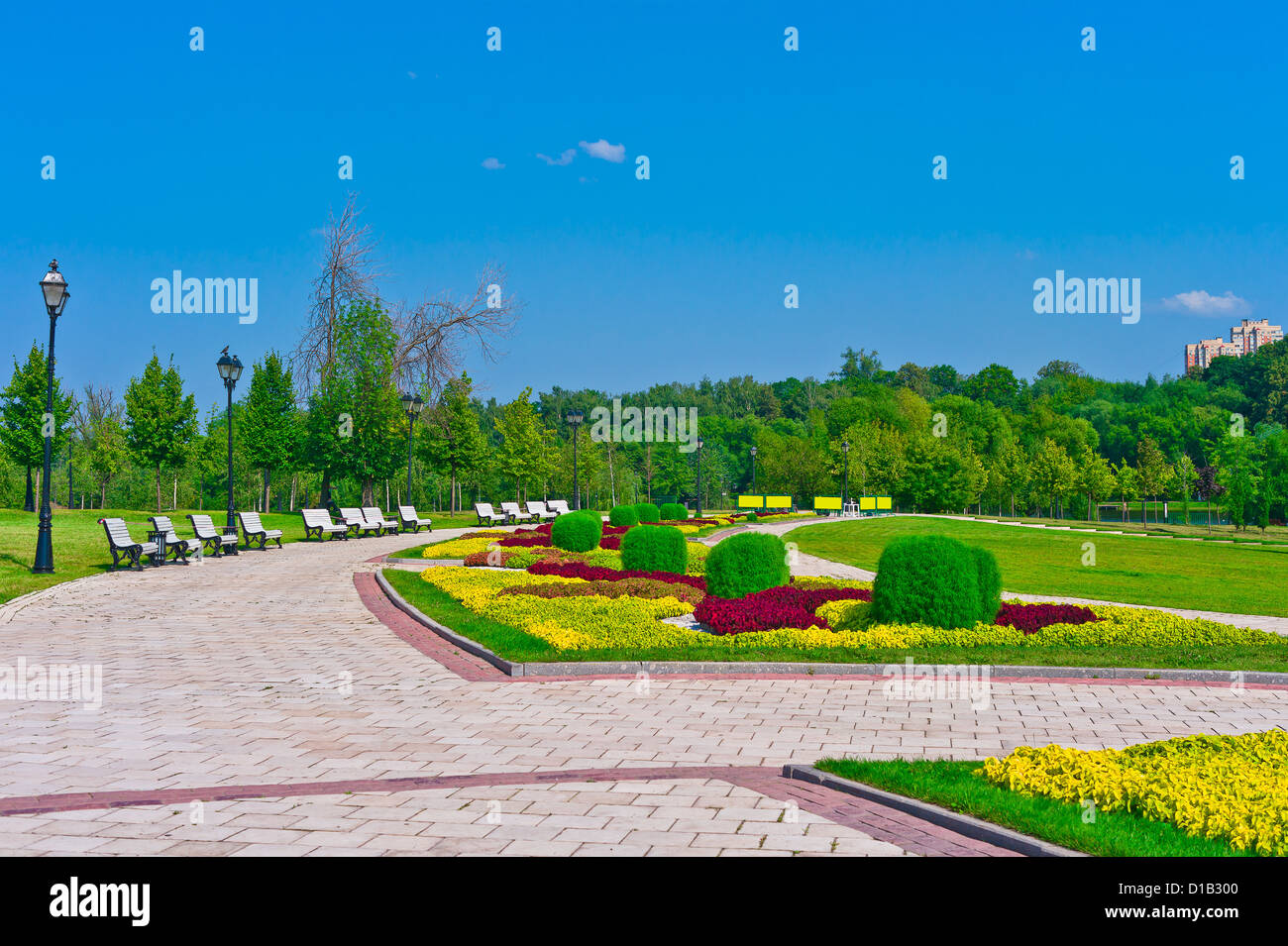 Walkway in summer park Stock Photo - Alamy