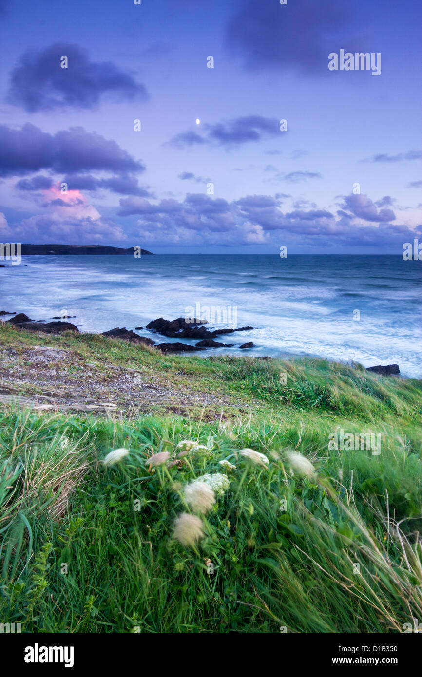 Rocky beach head hi-res stock photography and images - Alamy