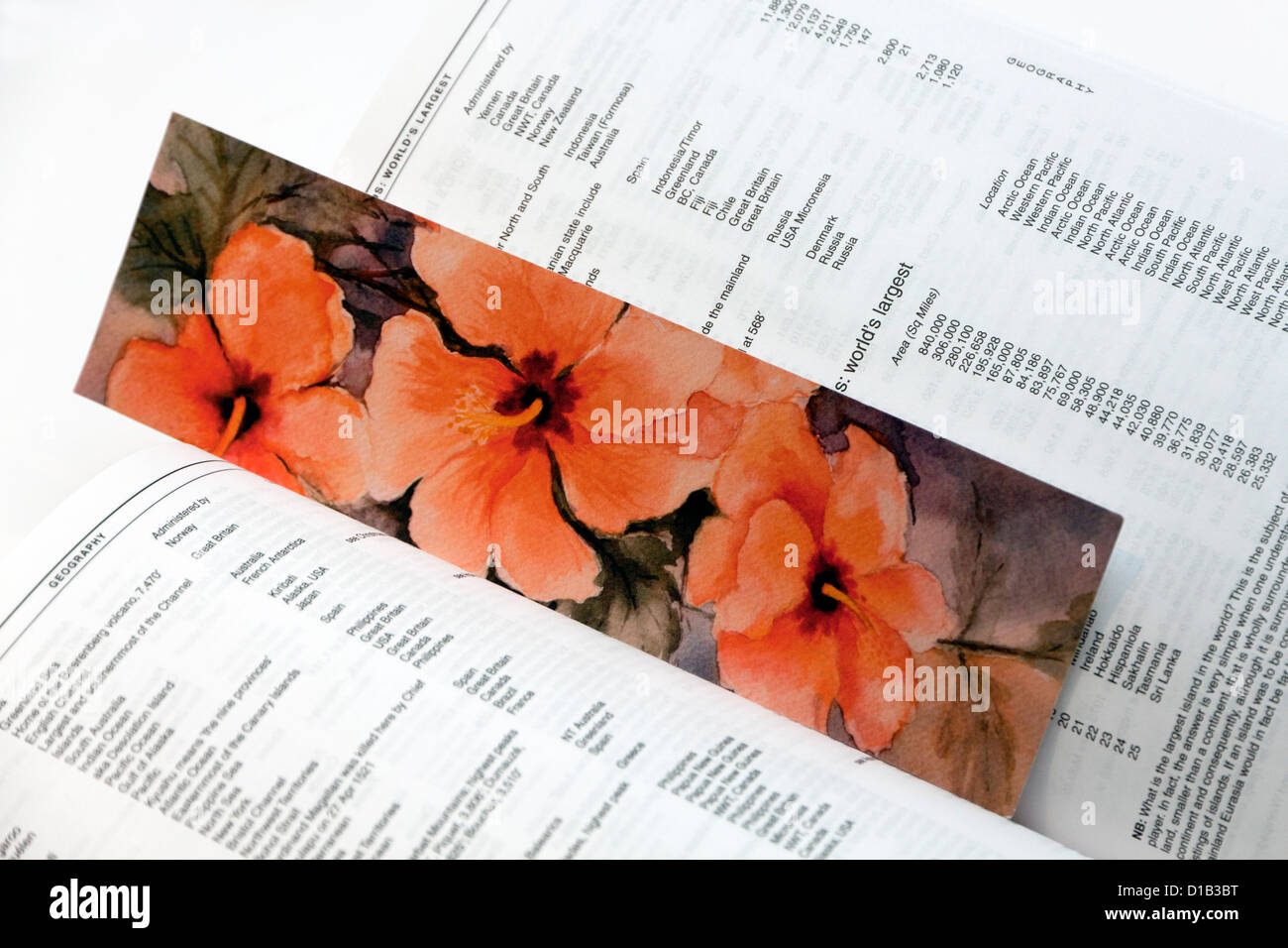 Colourful bookmark inside open dictionary pages Stock Photo - Alamy
