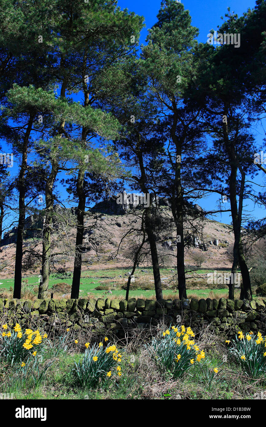 Spring View of Rock Hall Cottage which lies at the bottom of the ...