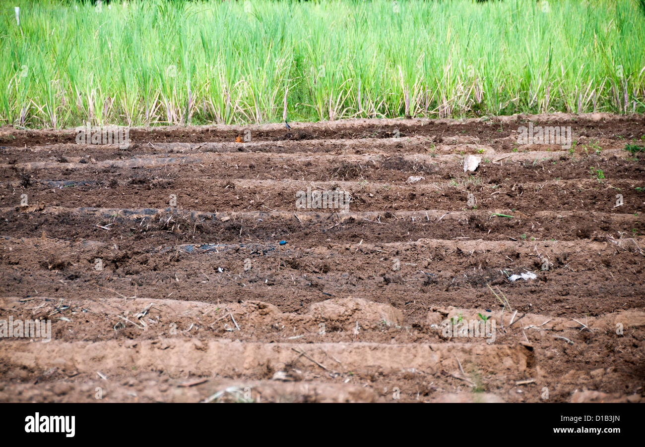 Soil layers hi-res stock photography and images - Alamy