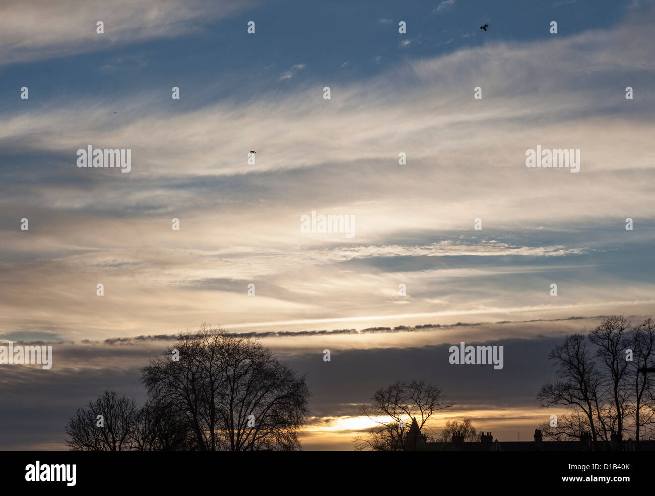 Richmond upon thames silhouette hi-res stock photography and images - Alamy