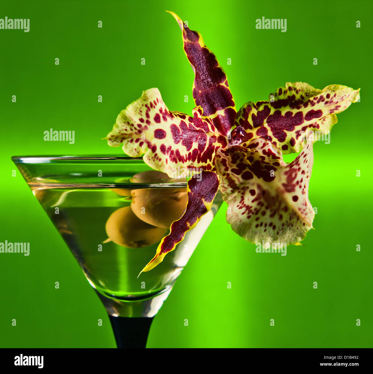 martini , green olives and orchid flower on a green background Stock ...