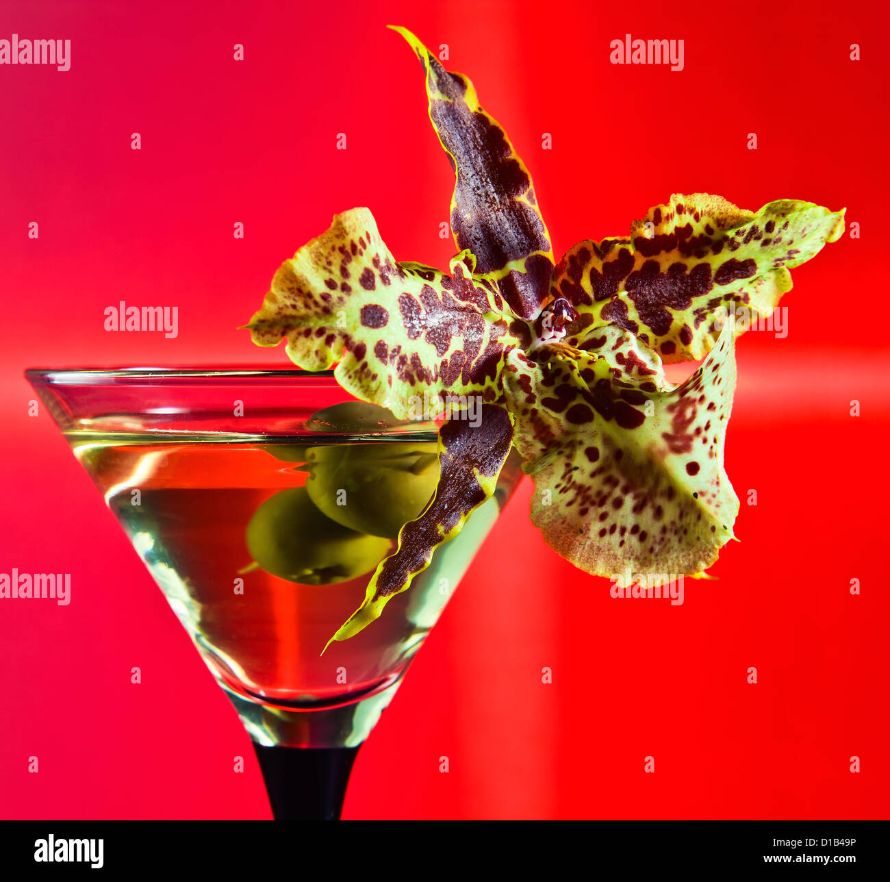 martini , green olives and orchid flower on a red background Stock ...