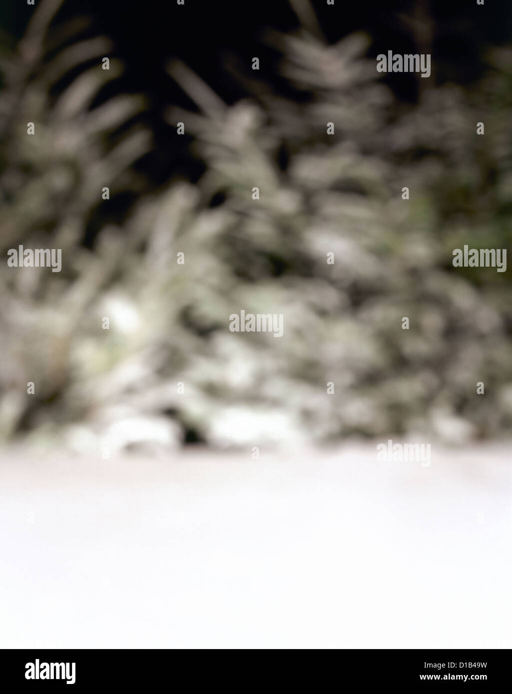 Blurred Background christmas tree Stock Photo - Alamy