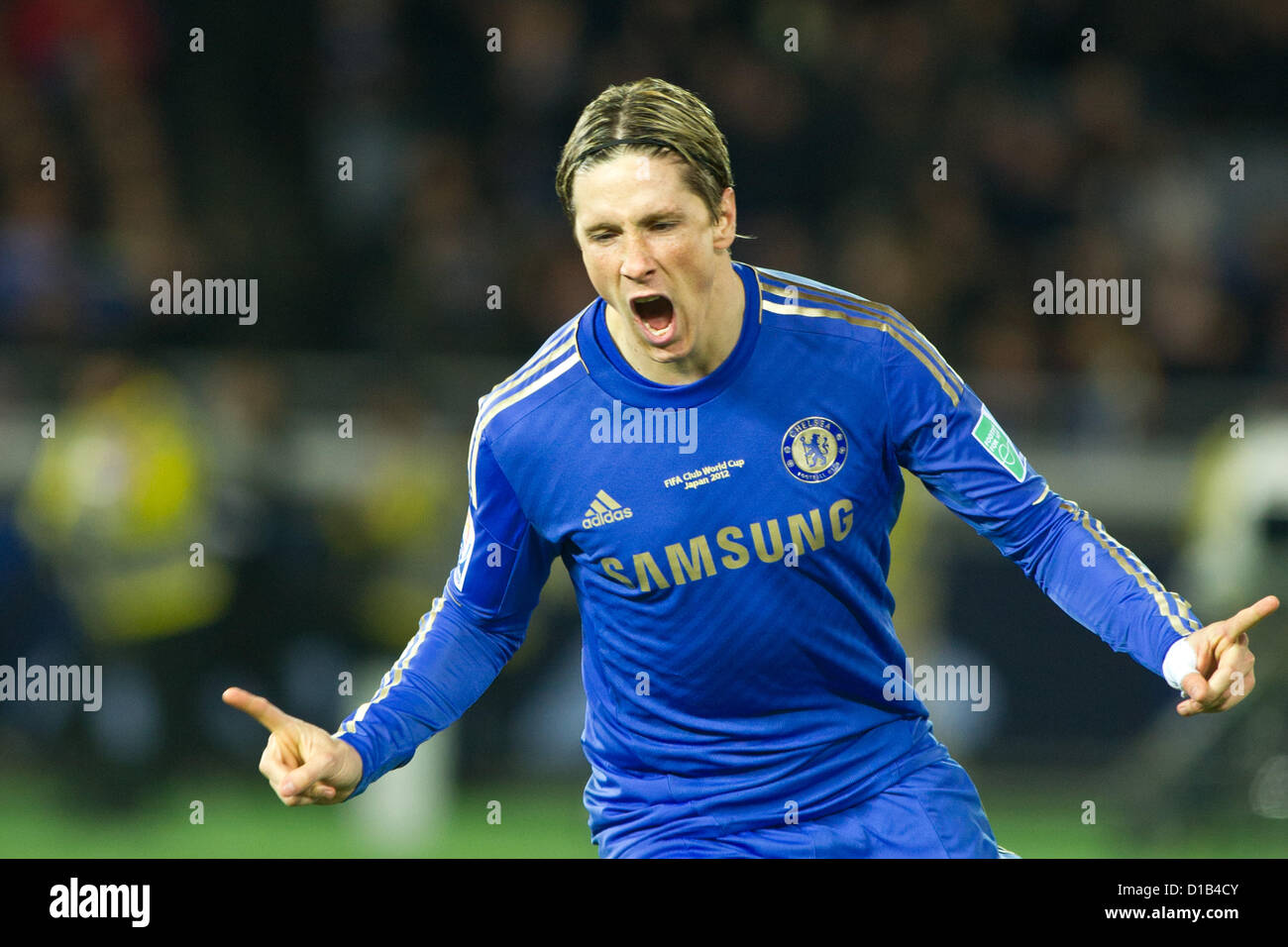 Fernando Torres Chelsea 20242024
