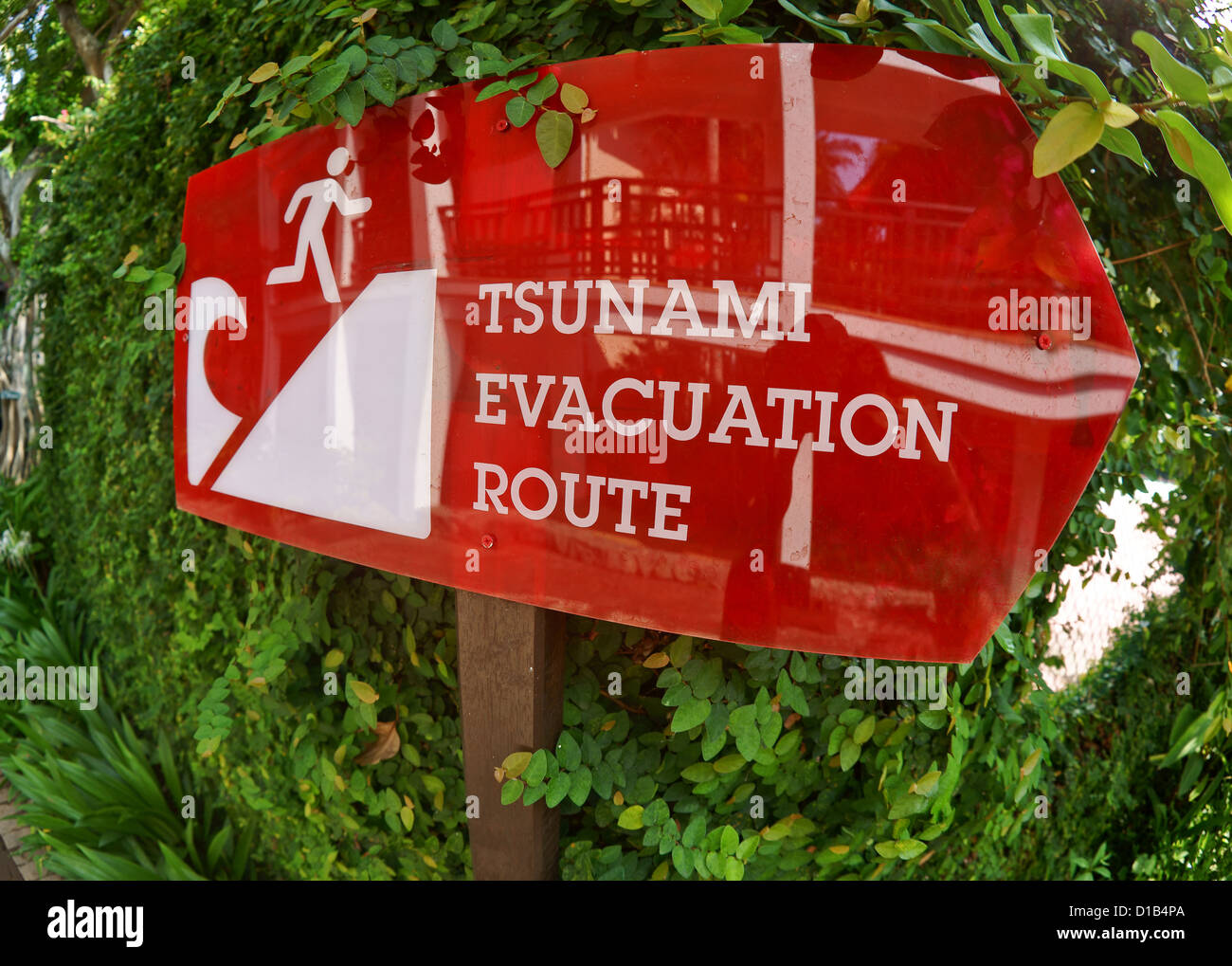Tsunami earthquake hi-res stock photography and images - Alamy