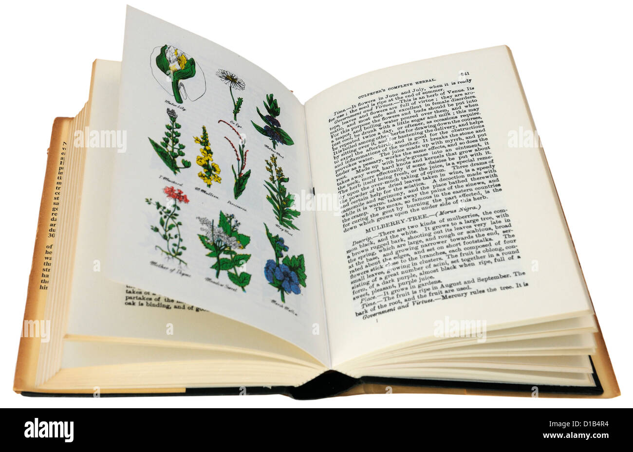 Culpeppers Complete Herbal Stock Photo - Alamy