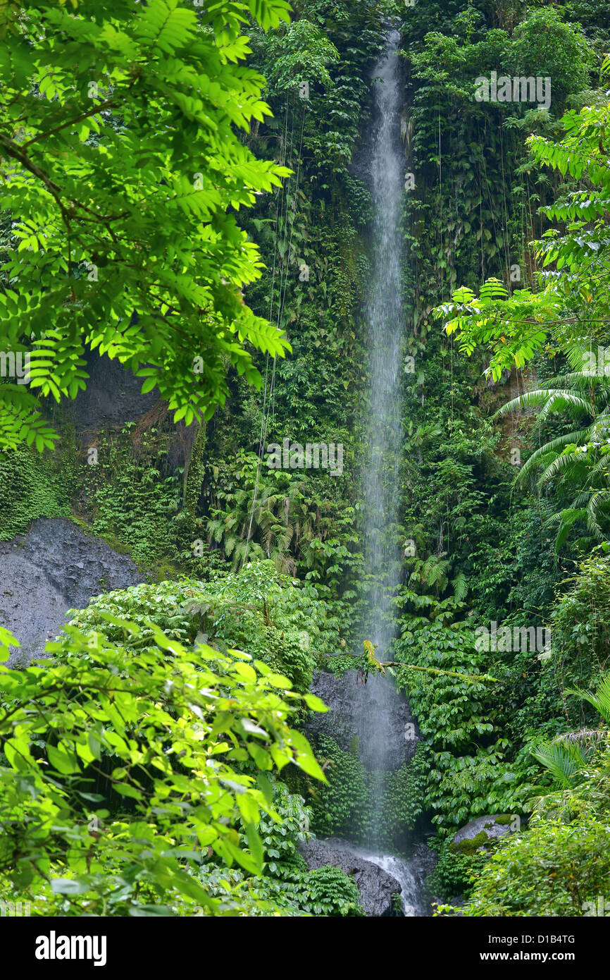 Sheet waterfall hi-res stock photography and images - Alamy