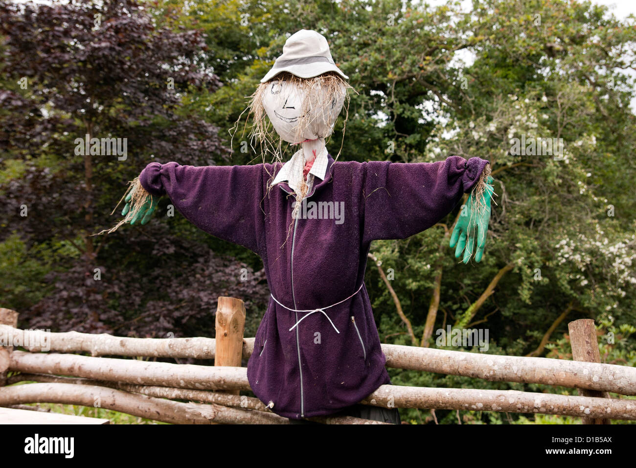 Scarecrow with hat hi-res stock photography and images - Alamy