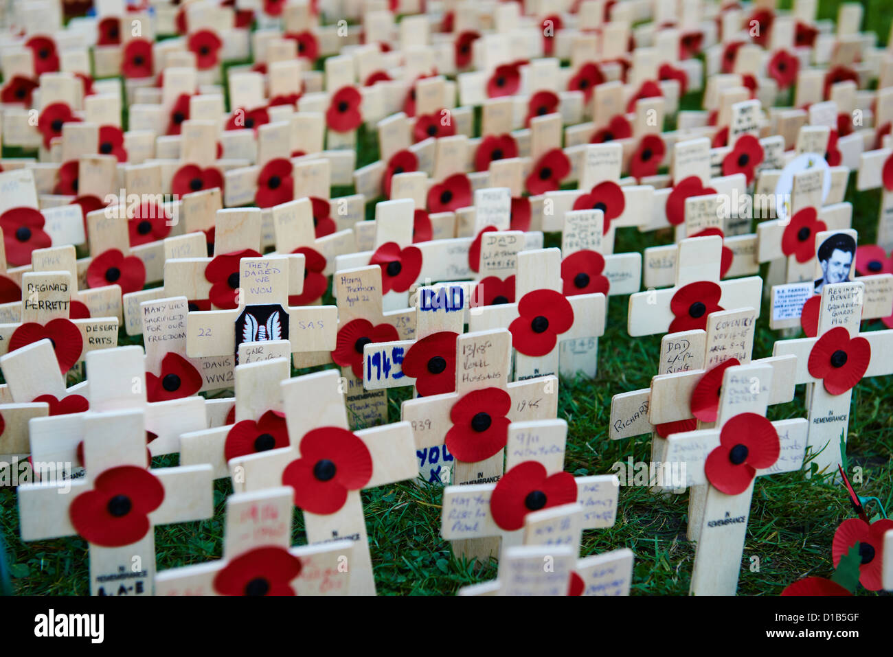Field of Remembrance Wood Hill Northampton UK Stock Photo - Alamy