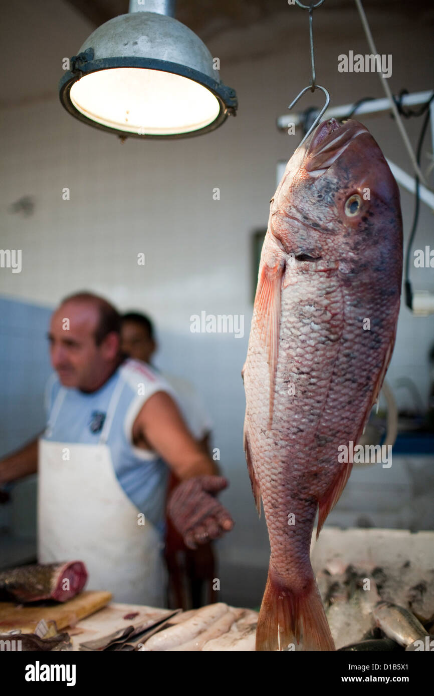 Sanlúcar de barrameda fish hi-res stock photography and images - Alamy