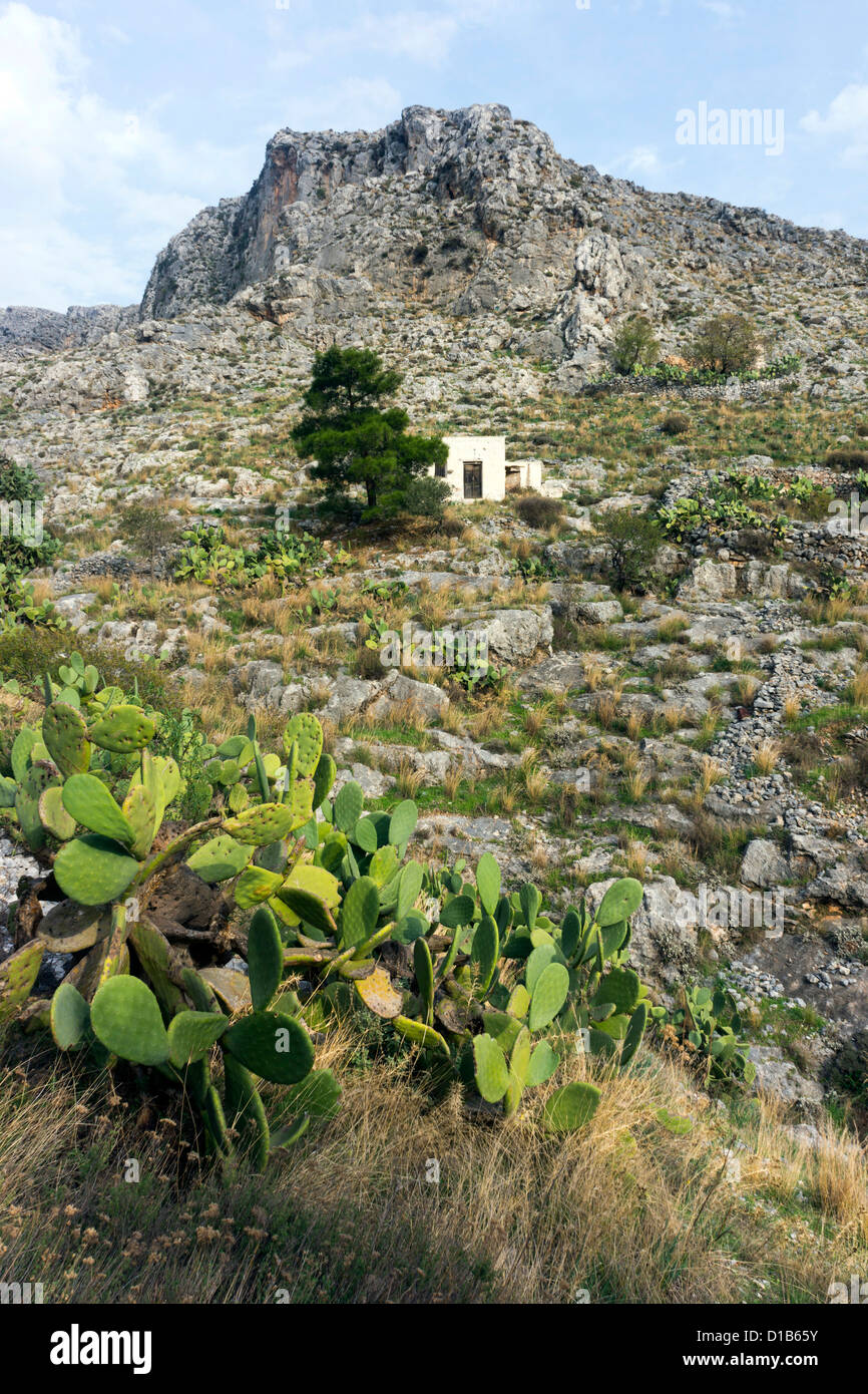 Old Greek house, terraces and prickly pear, rocks Stock Photo - Alamy