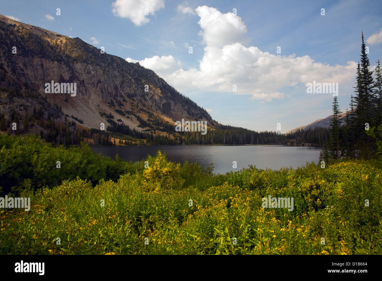 Aneroid lake hi-res stock photography and images - Alamy