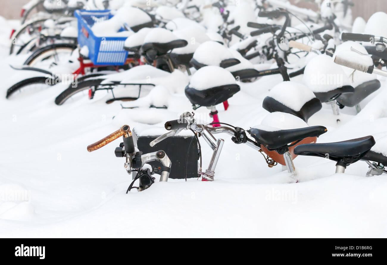 European city winter fragment. Bicycles covered with snow in big ...