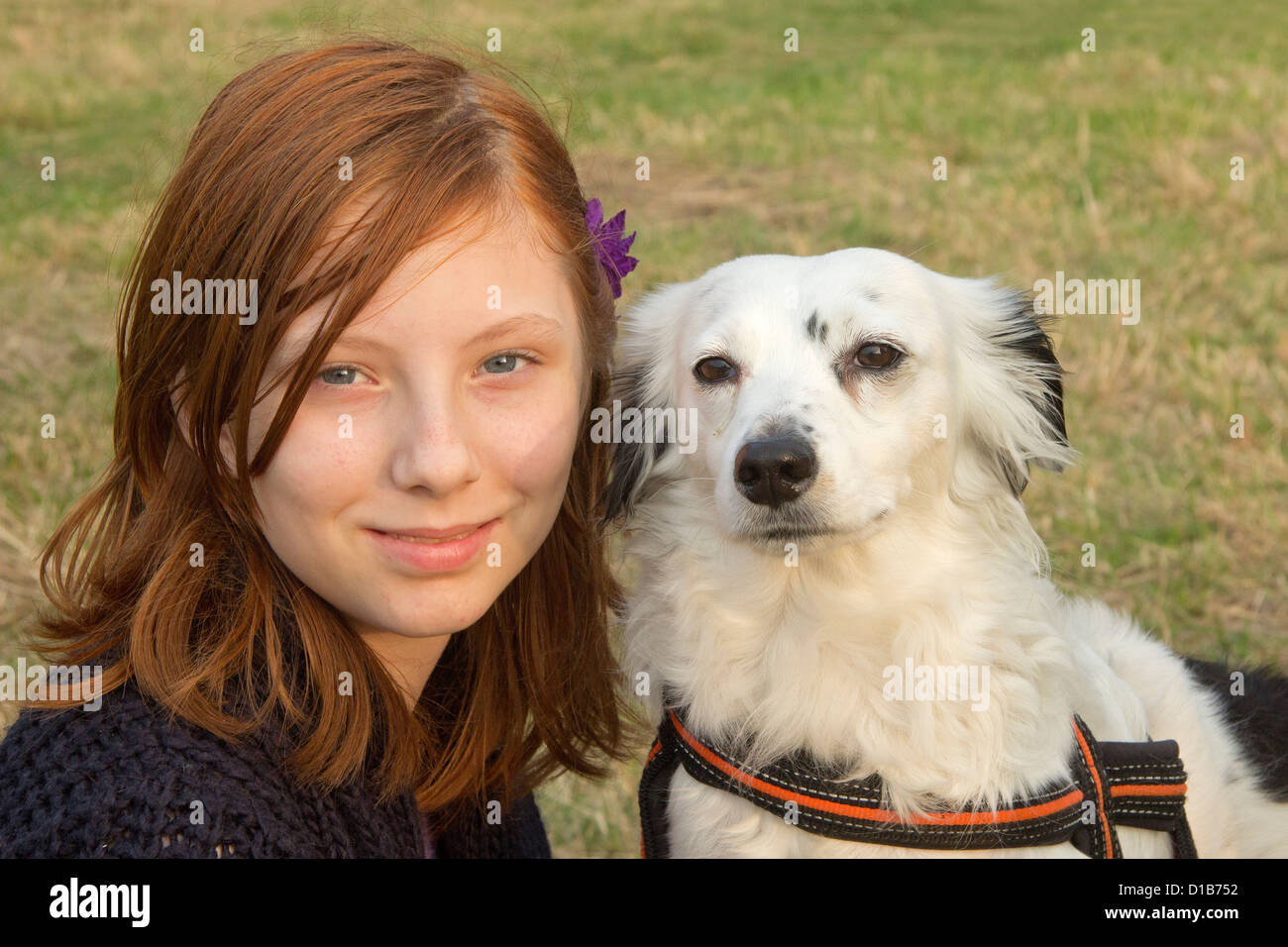 portrait of a young girl with her dog Stock Photo - Alamy