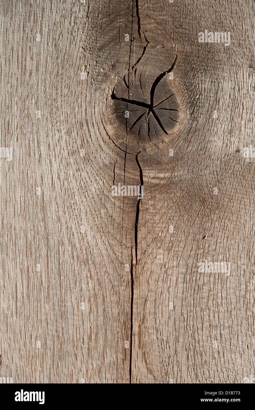 Close up of a knot in a piece of oak wood and showing wood grain Stock ...