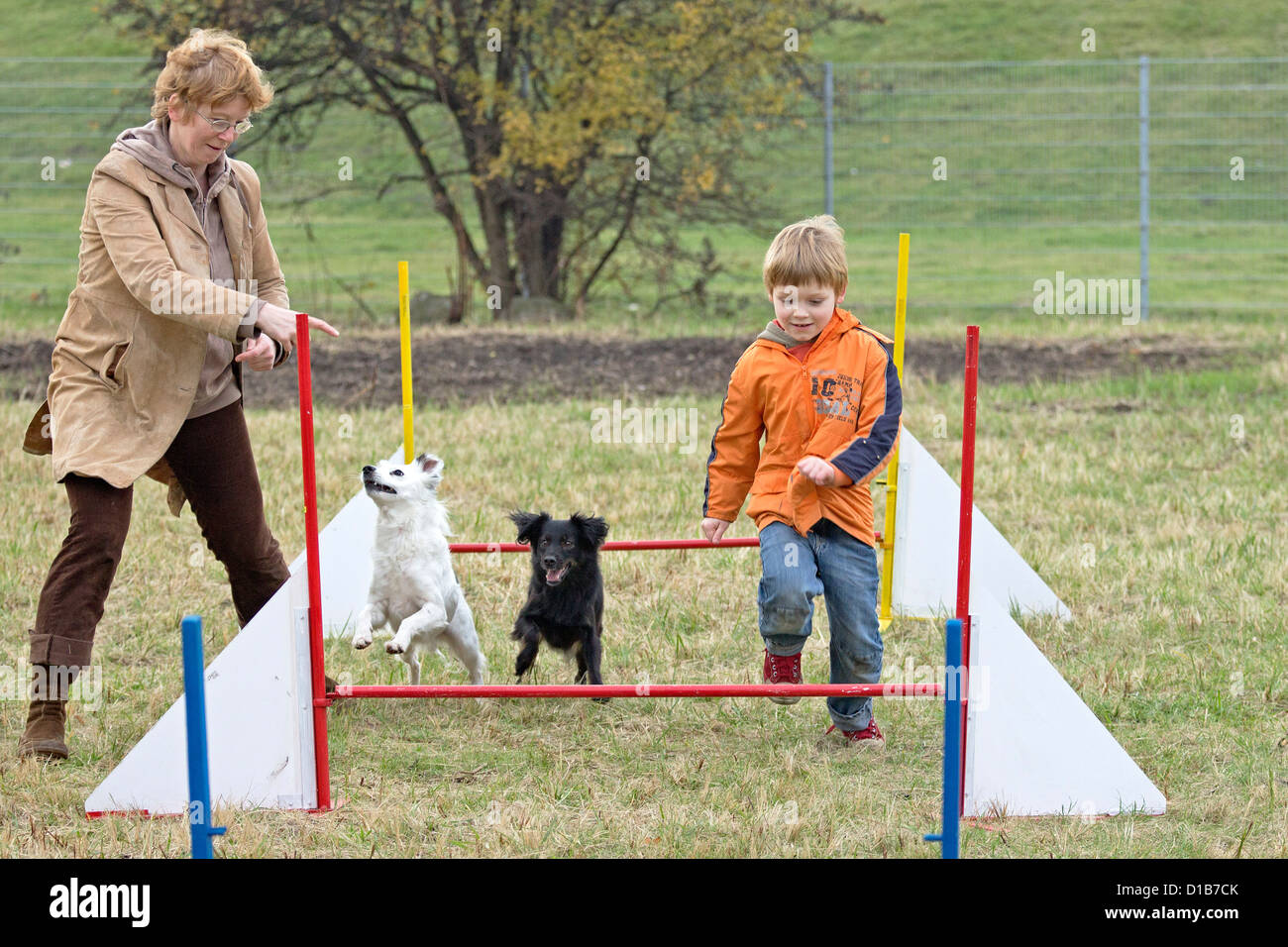 young boy taking part in an agility training at a dog school Stock ...