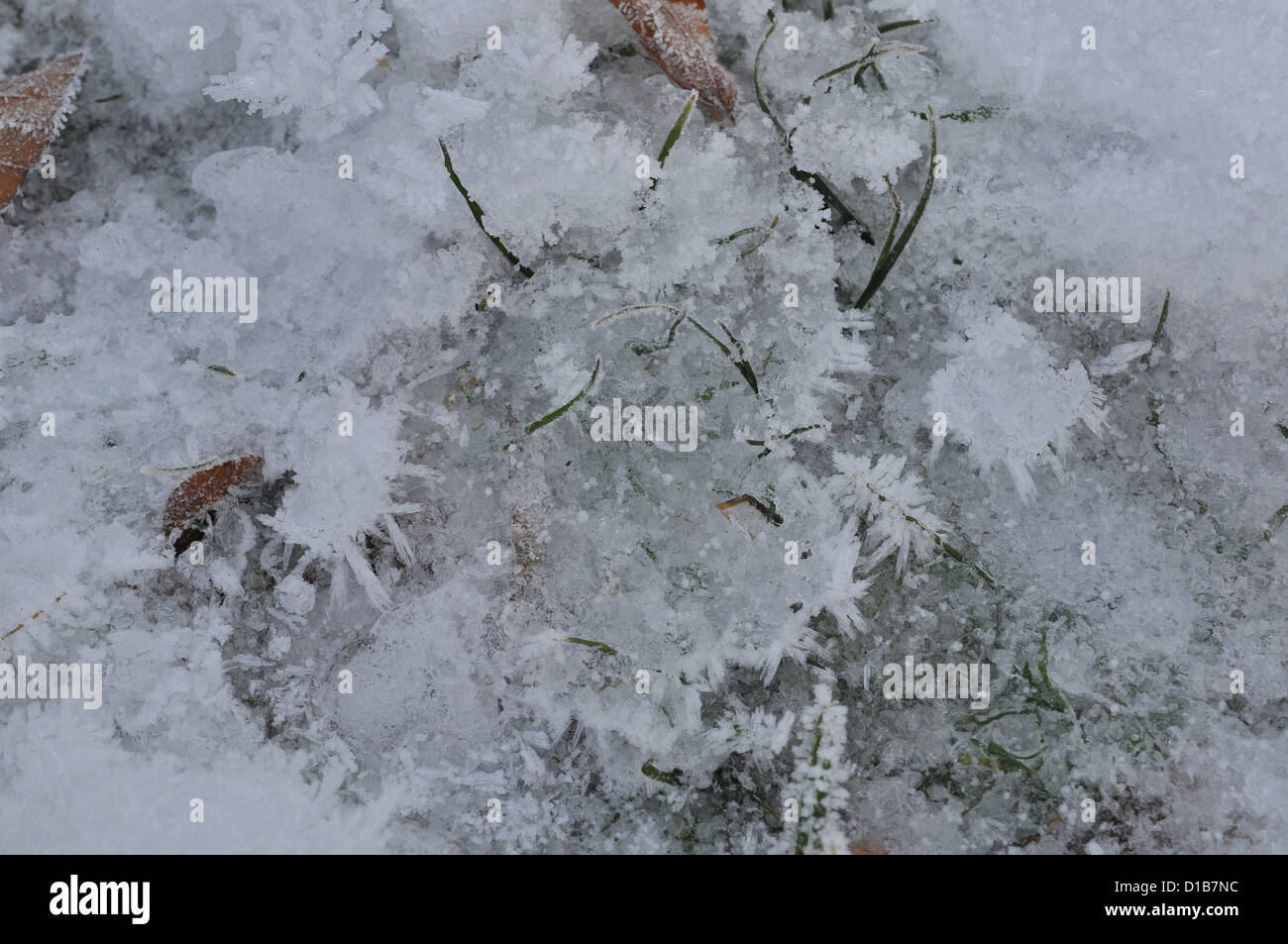 Ice Crystals in the Snow Stock Photo - Alamy