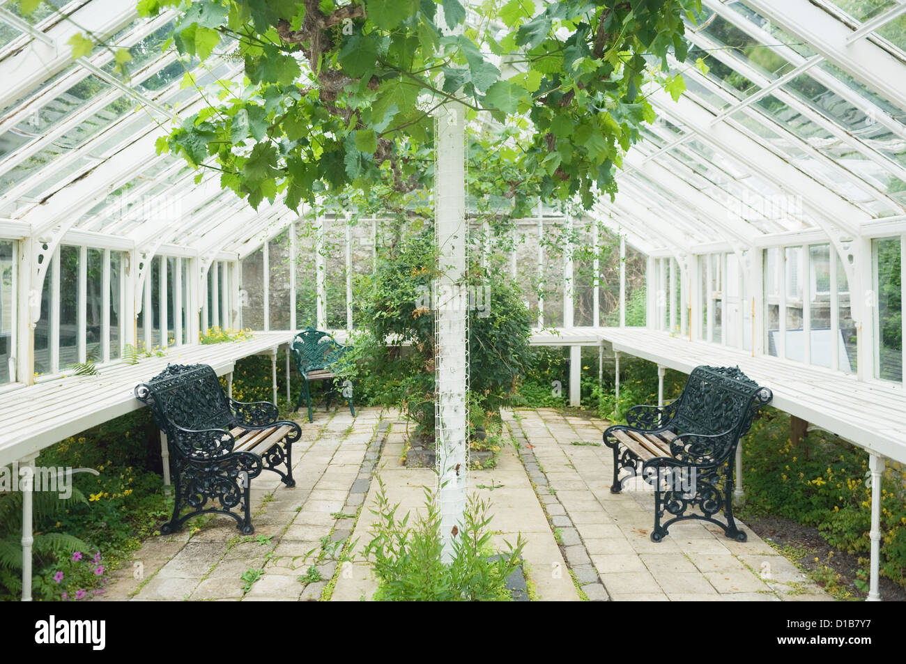 Interior greenhouse with bench hi-res stock photography and images - Alamy
