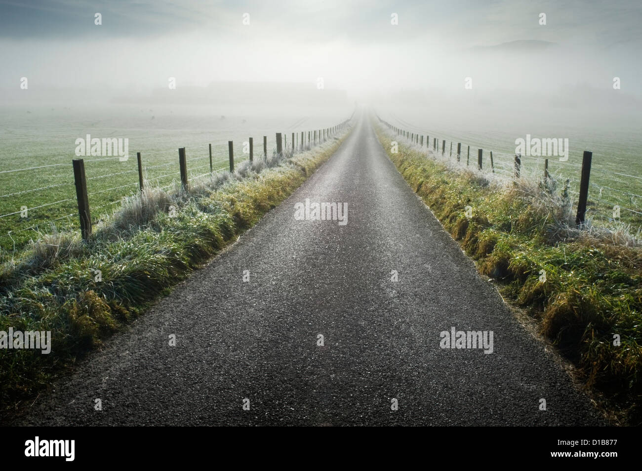Country Road Leading to Mist Stock Photo - Alamy