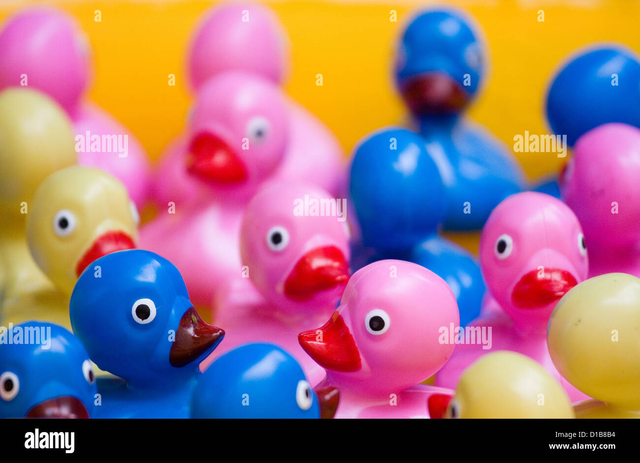 Colorful plastic ducks hi-res stock photography and images - Alamy