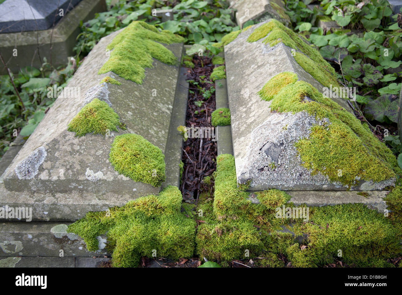 Moss Covered Graves High Resolution Stock Photography and Images - Alamy