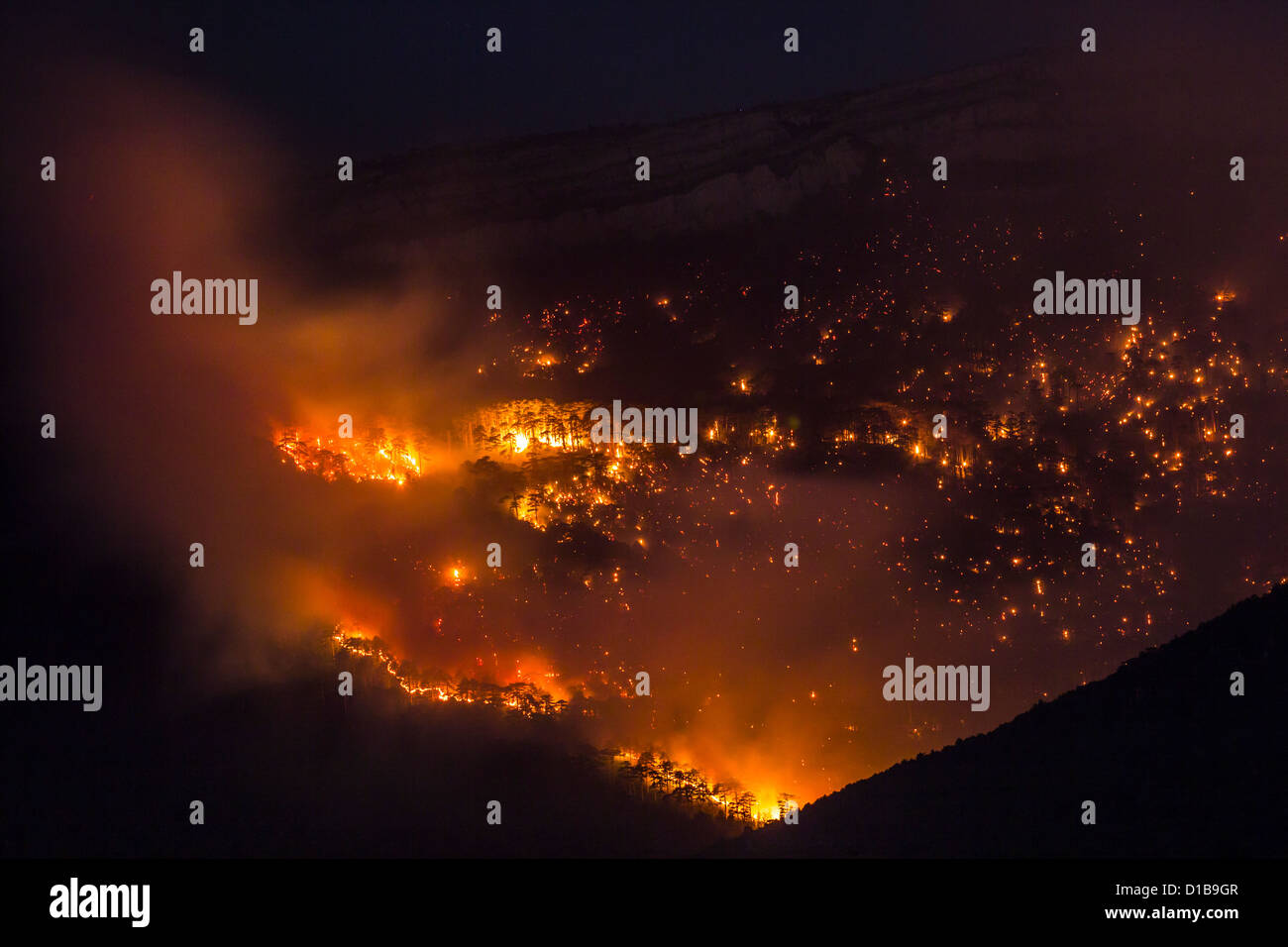 Forest fire burning at night Stock Photo - Alamy