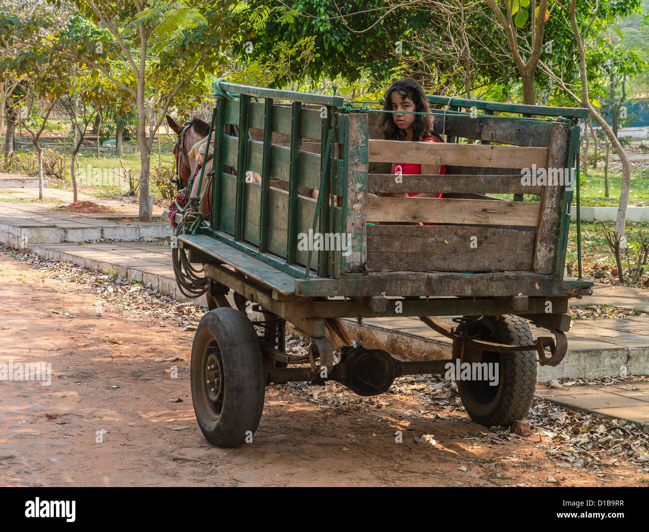 Sitting horse cart sit female carts hi-res stock photography and images ...