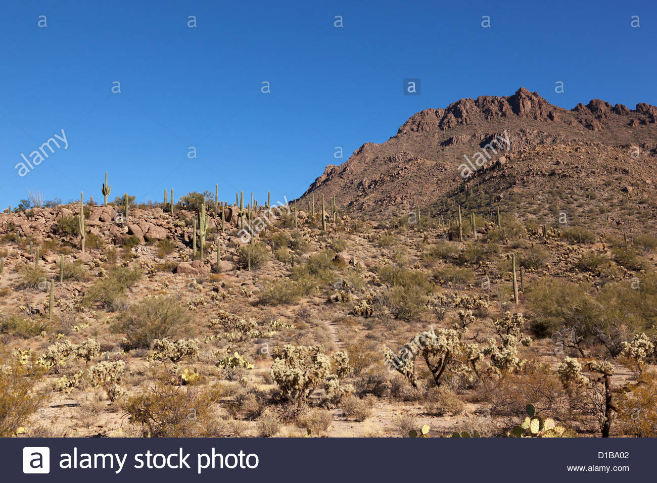 Tucson Mountains High Resolution Stock Photography and Images - Alamy